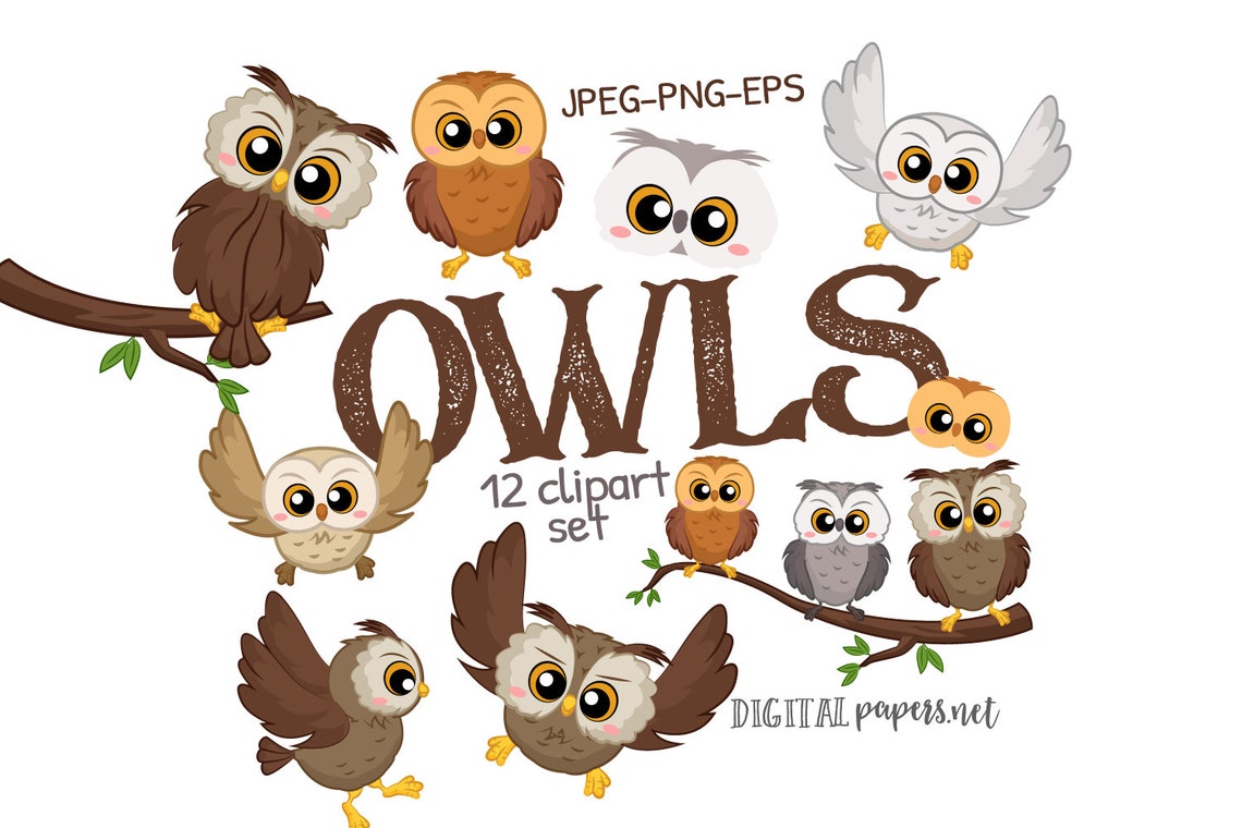Owl Clipart Animal Clipart Hoot Owl Clipart Owl Graphics | Etsy