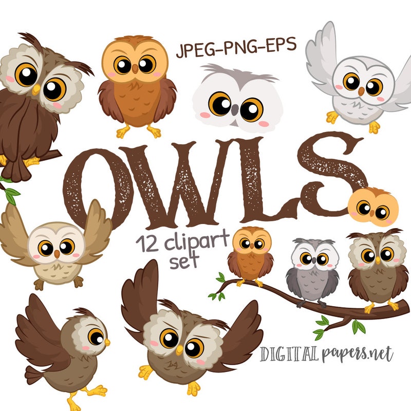 Cute Owls Clipart - Etsy