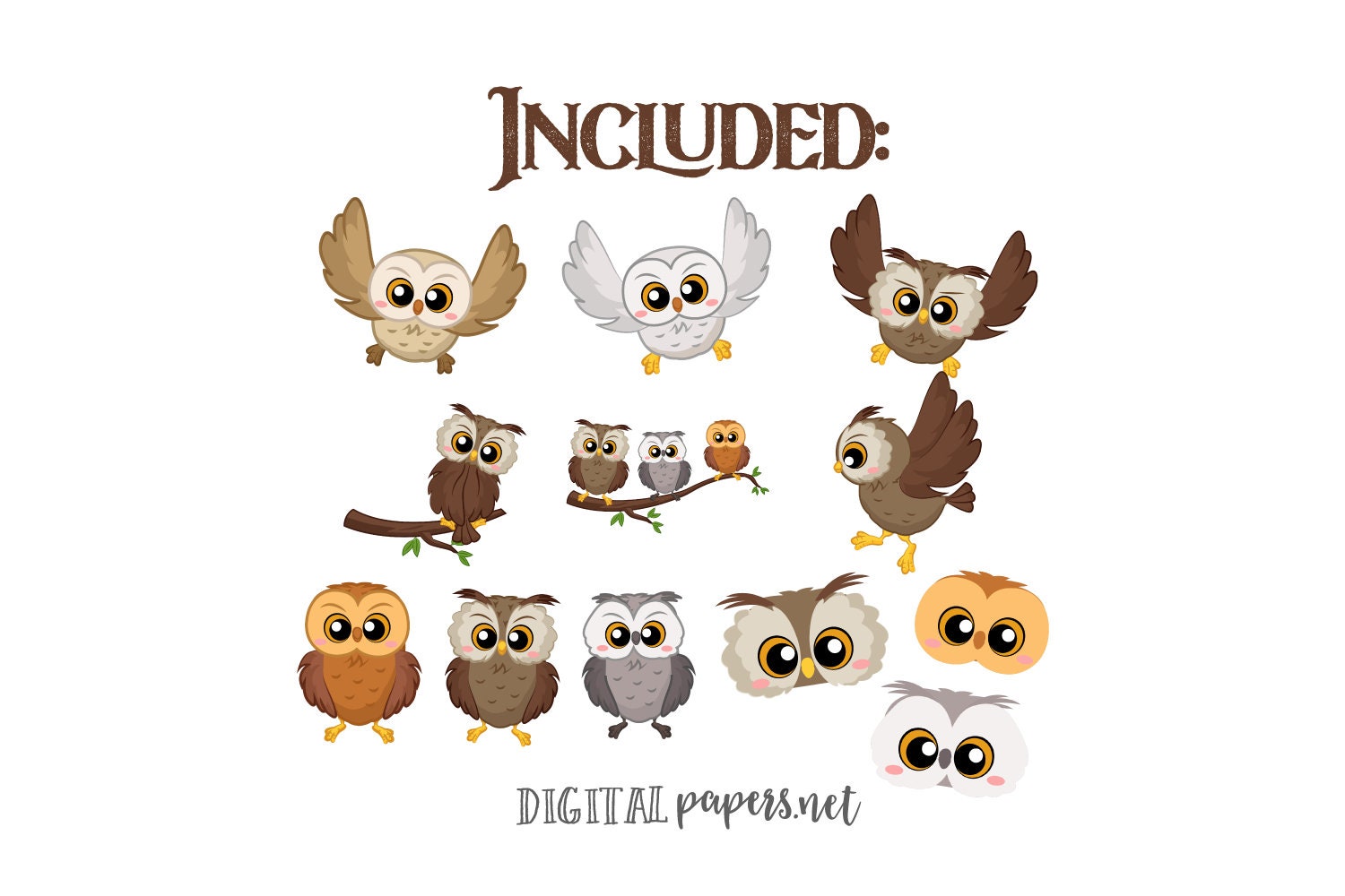 Owl Clipart Animal Clipart Hoot Owl Clipart Owl Graphics | Etsy