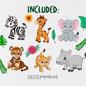 Jungle Animals Clipart: Baby Zebra, Elephant, Lion (PNG, JPEG, EPS) - Etsy
