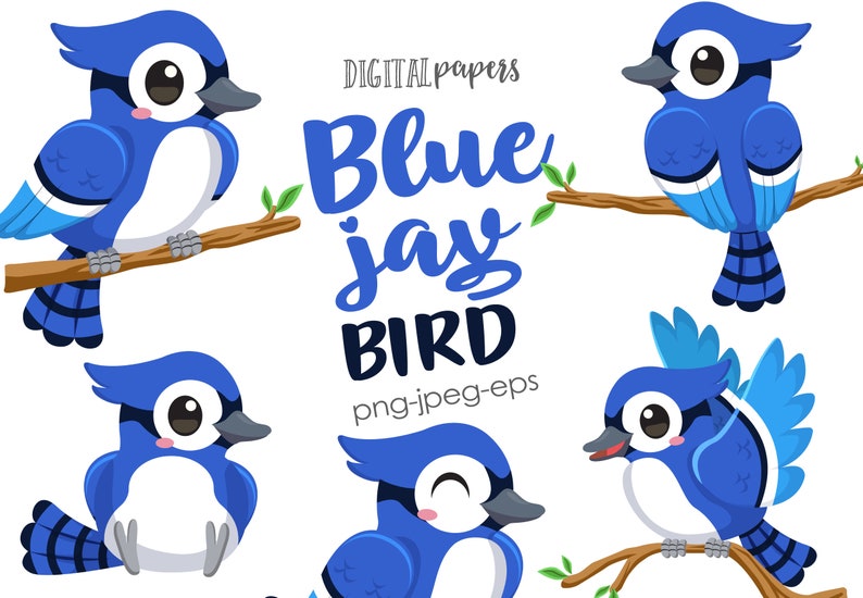 Blue Jay Bird Clipart Bird Clipart Blue Bird Clipart - Etsy