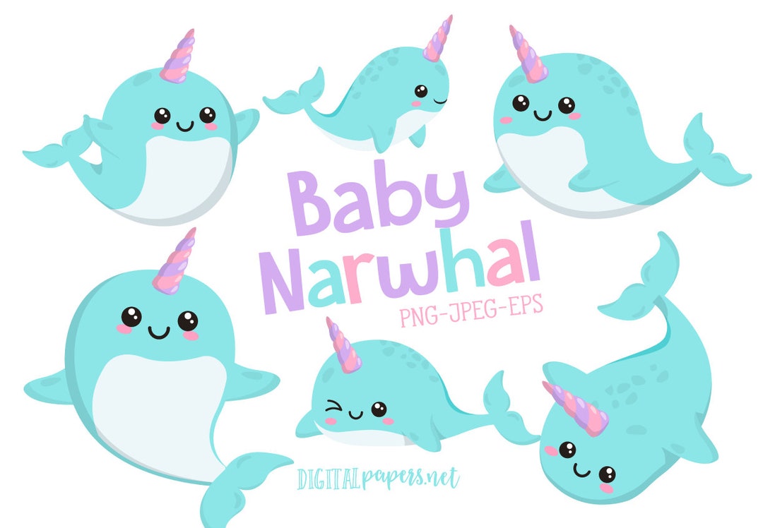 Baby Narwhal Clipart: Sea Unicorn Graphics (INSTANT DOWNLOAD) - Etsy