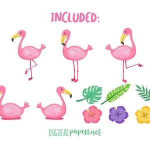 Flamingo Clipart, Tropical Clip Art, Flamingo Birthday, EPS Vector, PNG ...