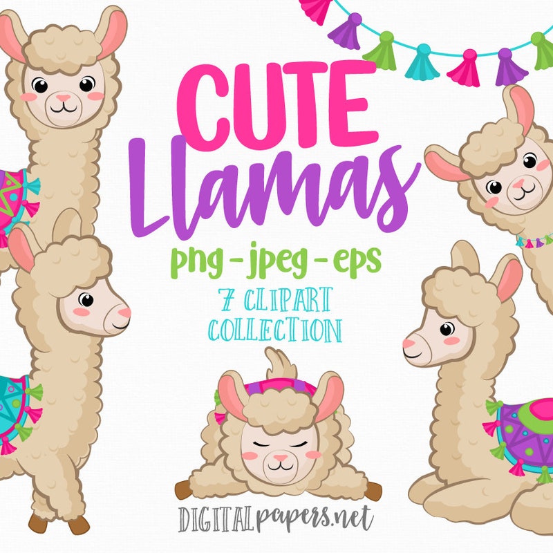 Llama Illustration - Etsy