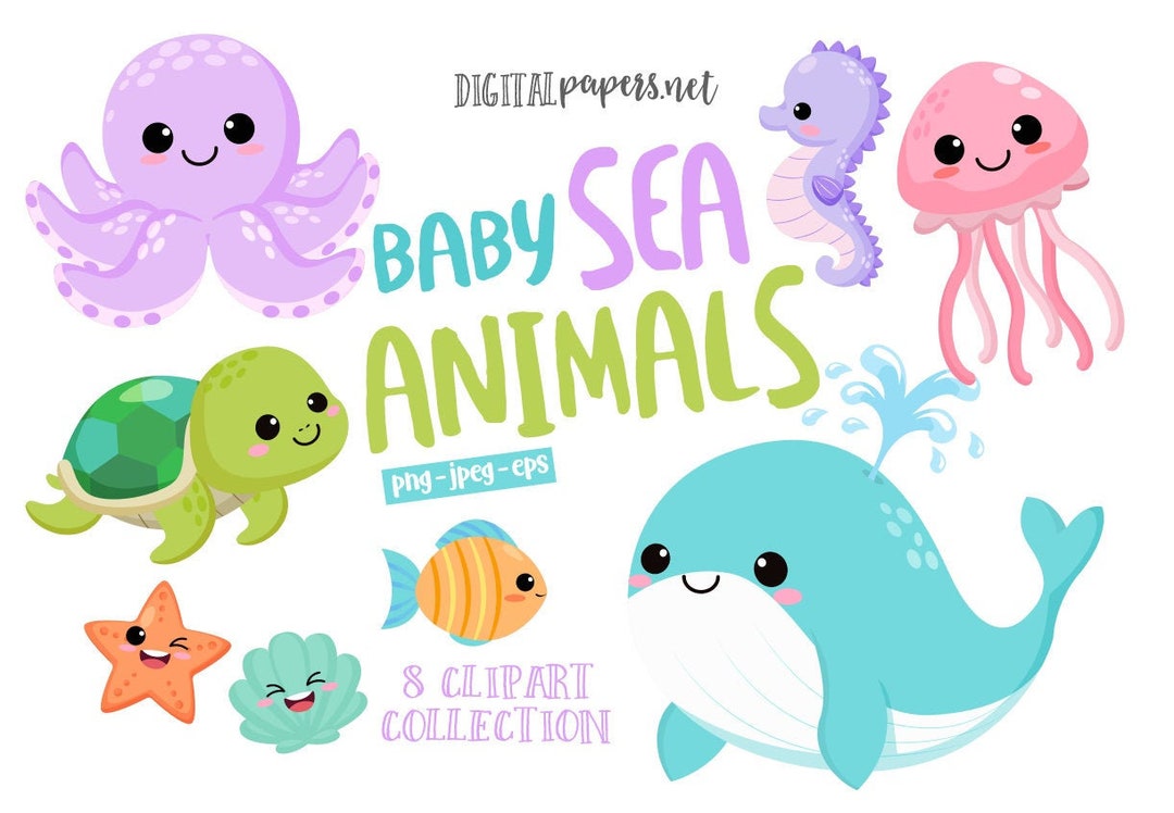 Baby Sea Animals Clipart: Turtle, Whale, Jellyfish (INSTANT DOWNLOAD ...