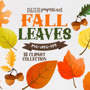 Fall Leaves Clipart, Forest Clipart, Woodland Clipart, Pine Tree, PNG ...