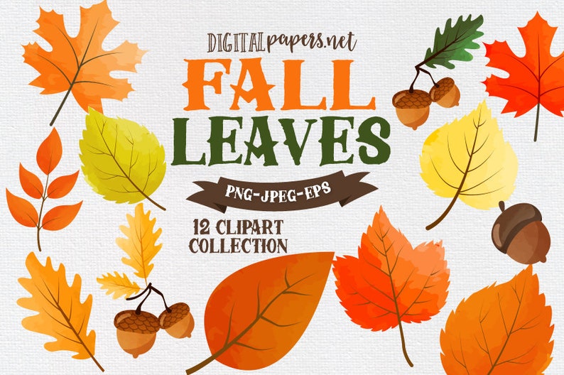 Fall Leaves Clipart: Woodland Forest PNG, EPS (instant Download) - Etsy