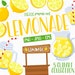 Lemonade Clipart, Lemon Clipart, Vector Clipart, PNG Clipart, Lemonade ...