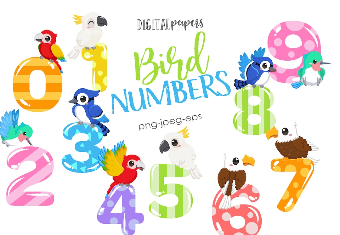 Bird Numbers Clipart, Bird Clipart, Number Clipart, Tropical Bird, Bird ...