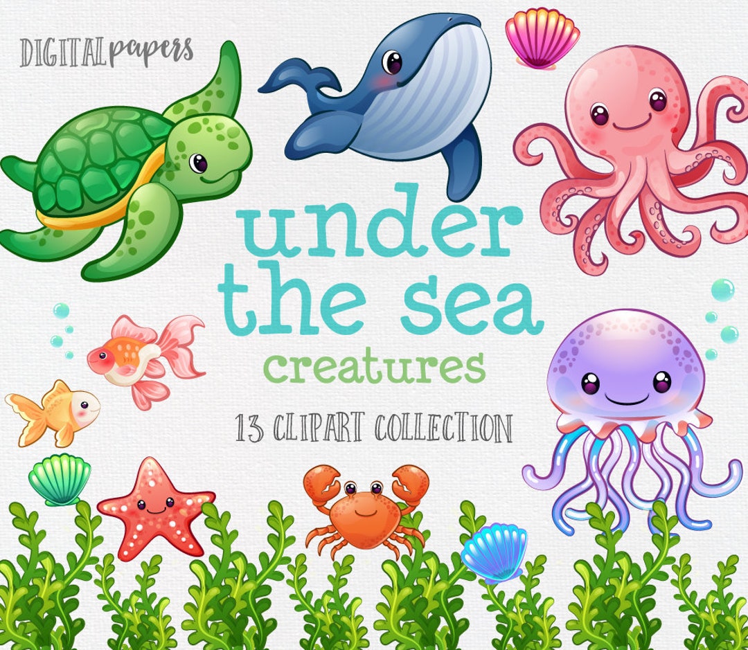 Under the Sea Clipart: Turtle, Jellyfish, Party Graphics (instant ...