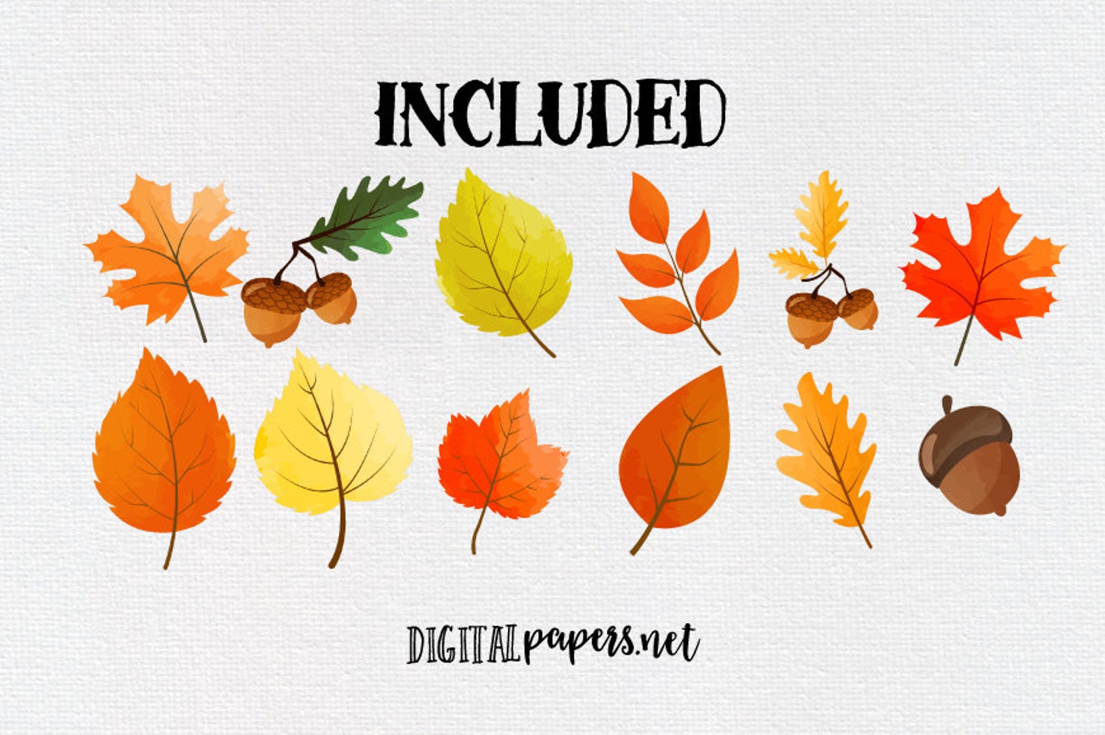 Fall Leaves Clipart: Woodland Forest PNG, EPS (instant Download) - Etsy