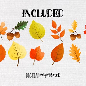 Fall Leaves Clipart, Forest Clipart, Woodland Clipart, Pine Tree, PNG ...