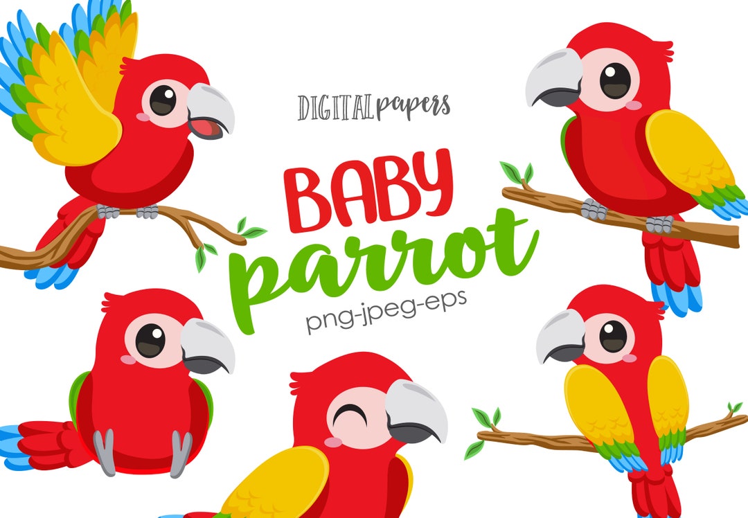 Baby Parrot Clipart, Bird Clipart, Parrot Clipart, Tropical, Summer ...
