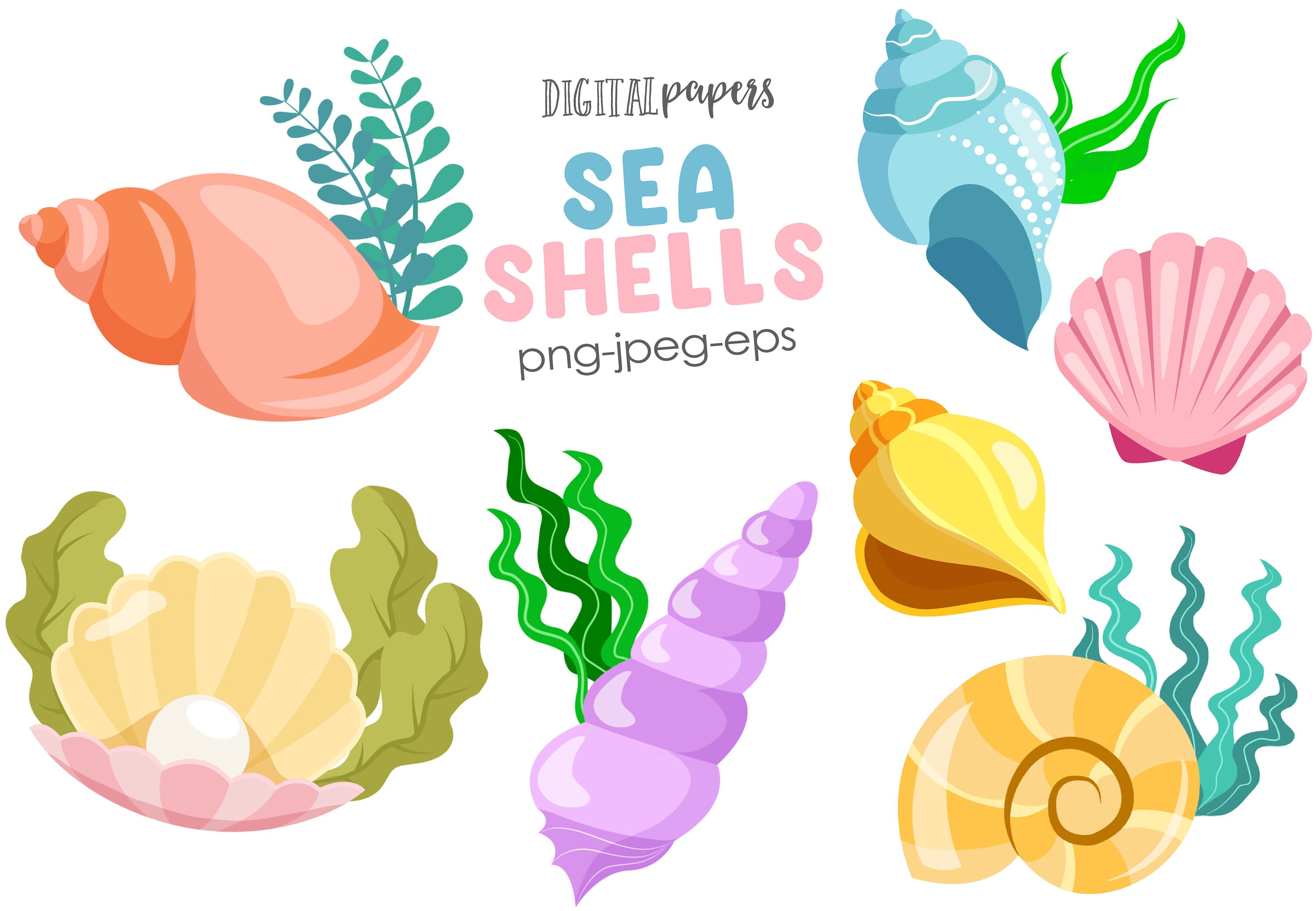 Green Seashell Clipart