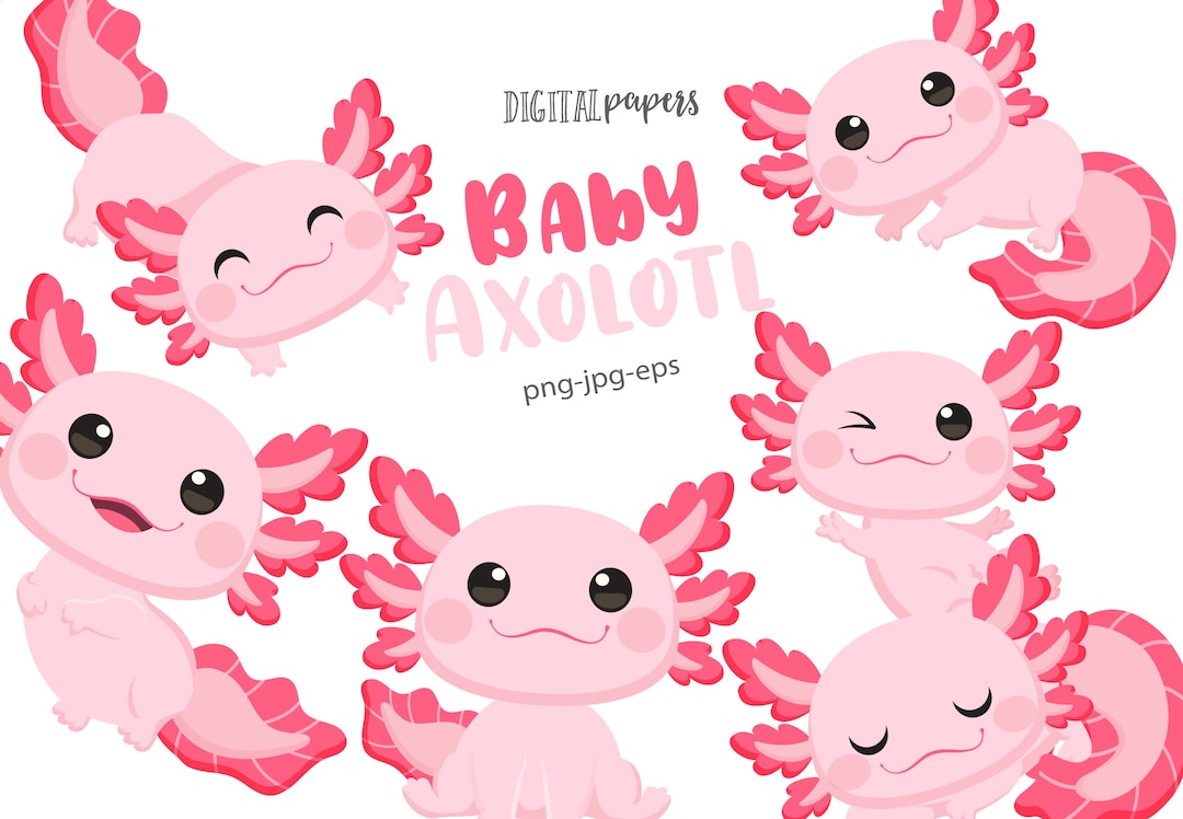 Axolotl Clipart, Baby Axolotl, Mexican Clipart, Cute Animal Clipart ...