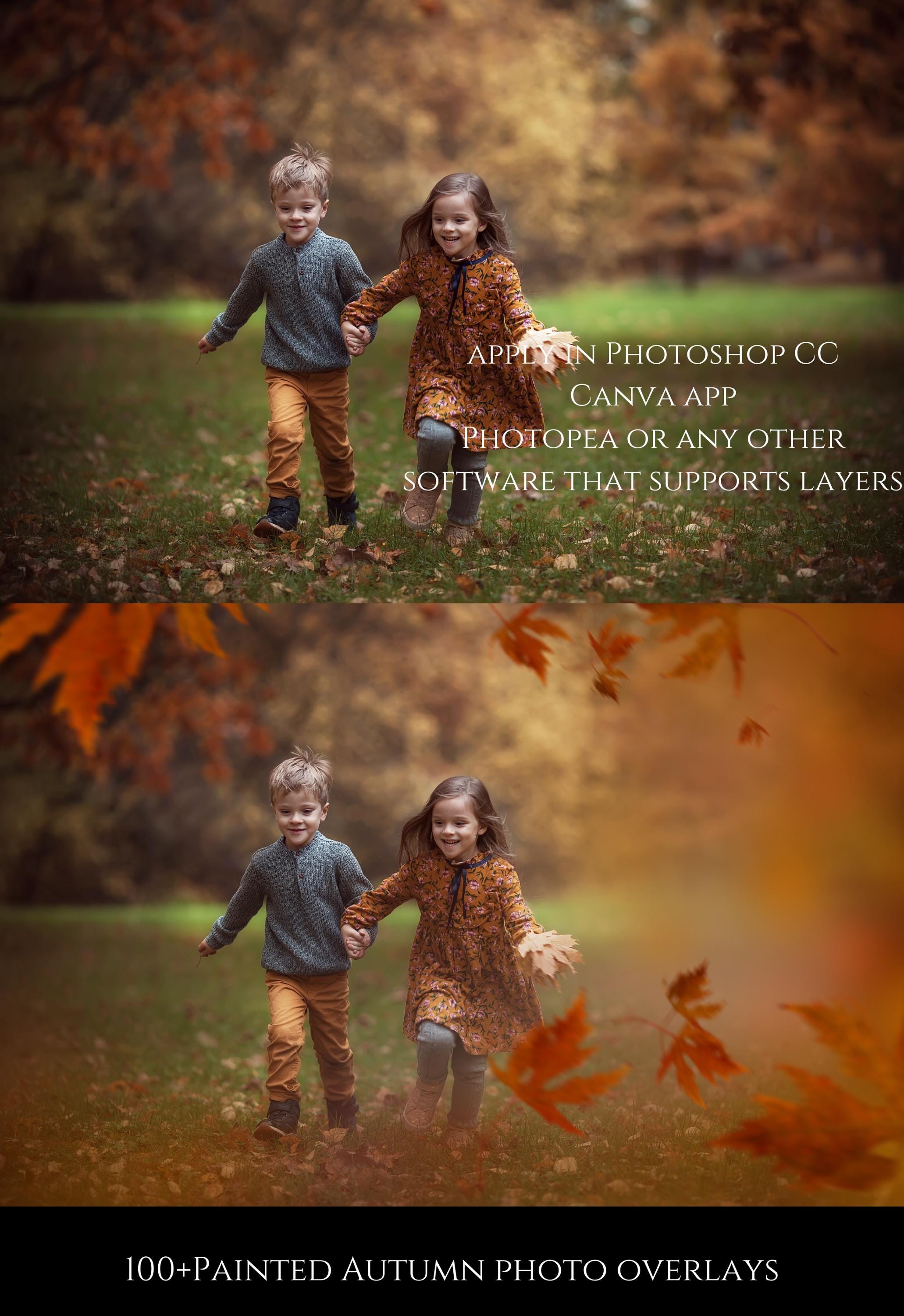 Autumn Leaf Photo Overlays: Painted Fall Photography Effects (digital ...
