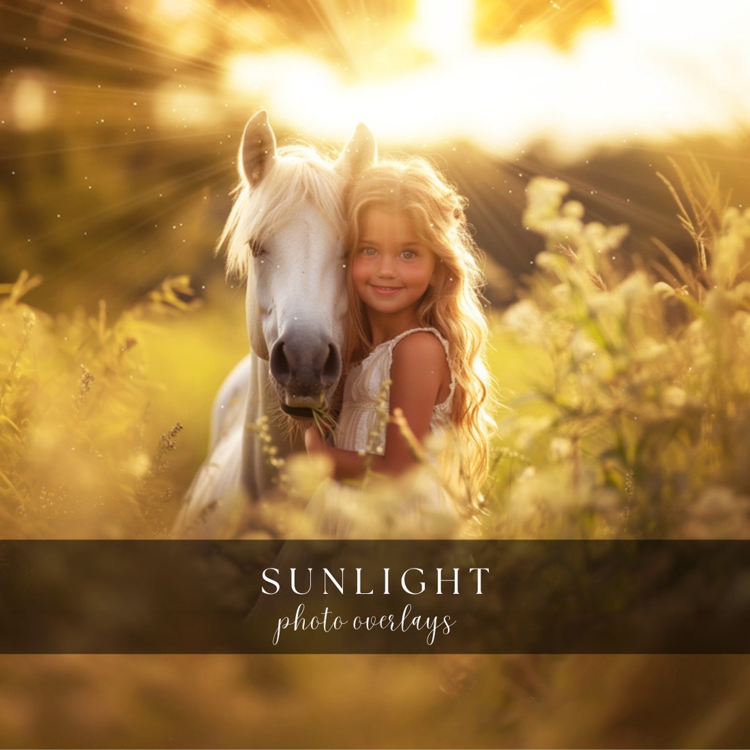 Sunlight Photo Overlays, Sunset Lights, Summer Overlays, Sunbeam ...