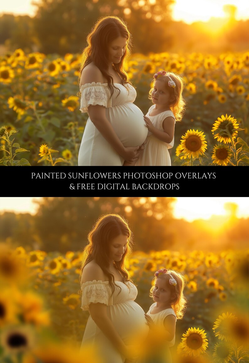 Painted Sunflowers Photoshop Overlays Floral Frames FREE Digital ...