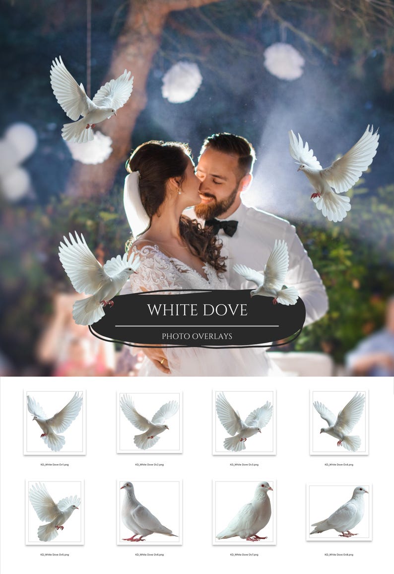 White Dove Photoshop PNG Overlays Wedding Doves Overlay Peace Birds ...