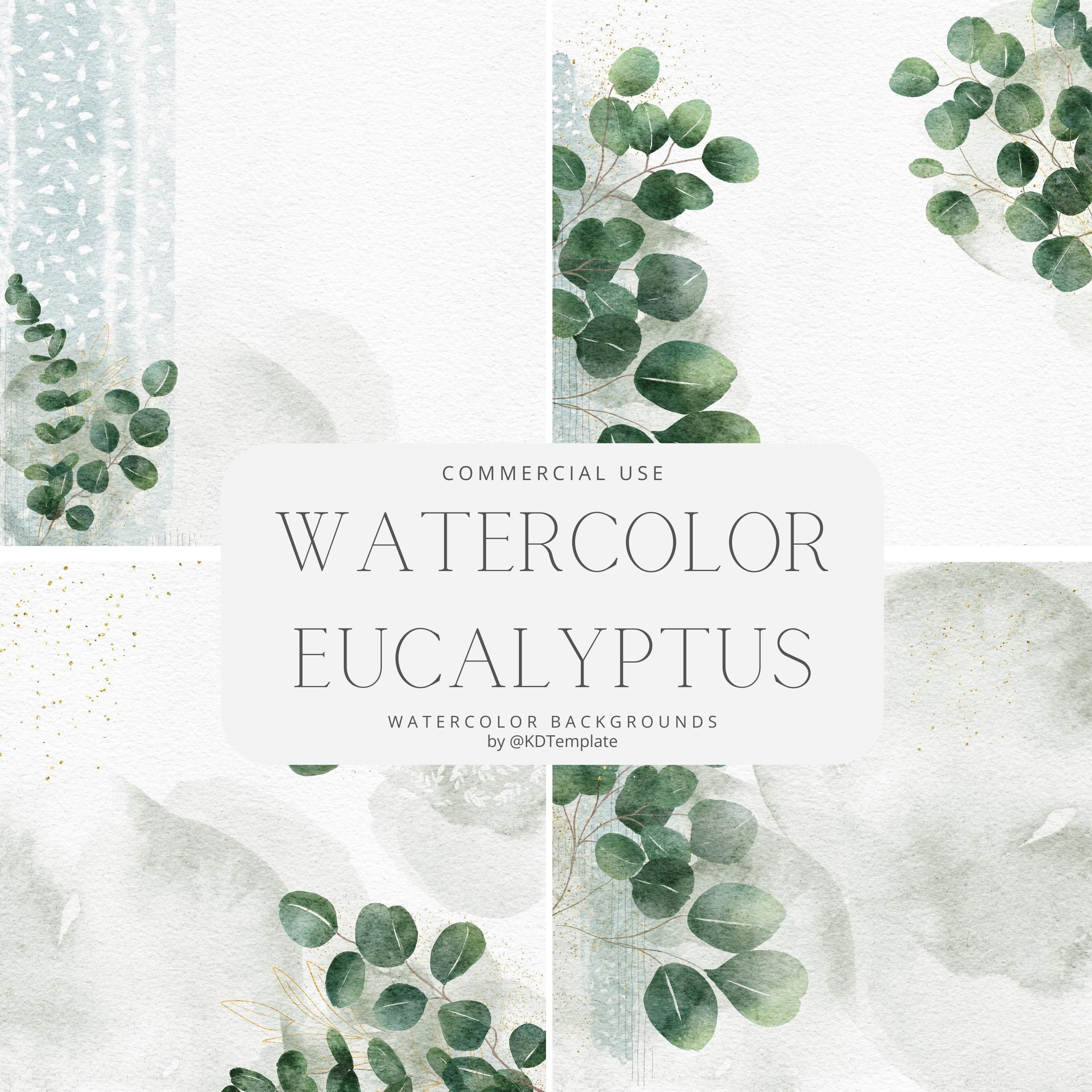 9 Watercolor Eucalyptus Digital Papers Watercolor - Etsy