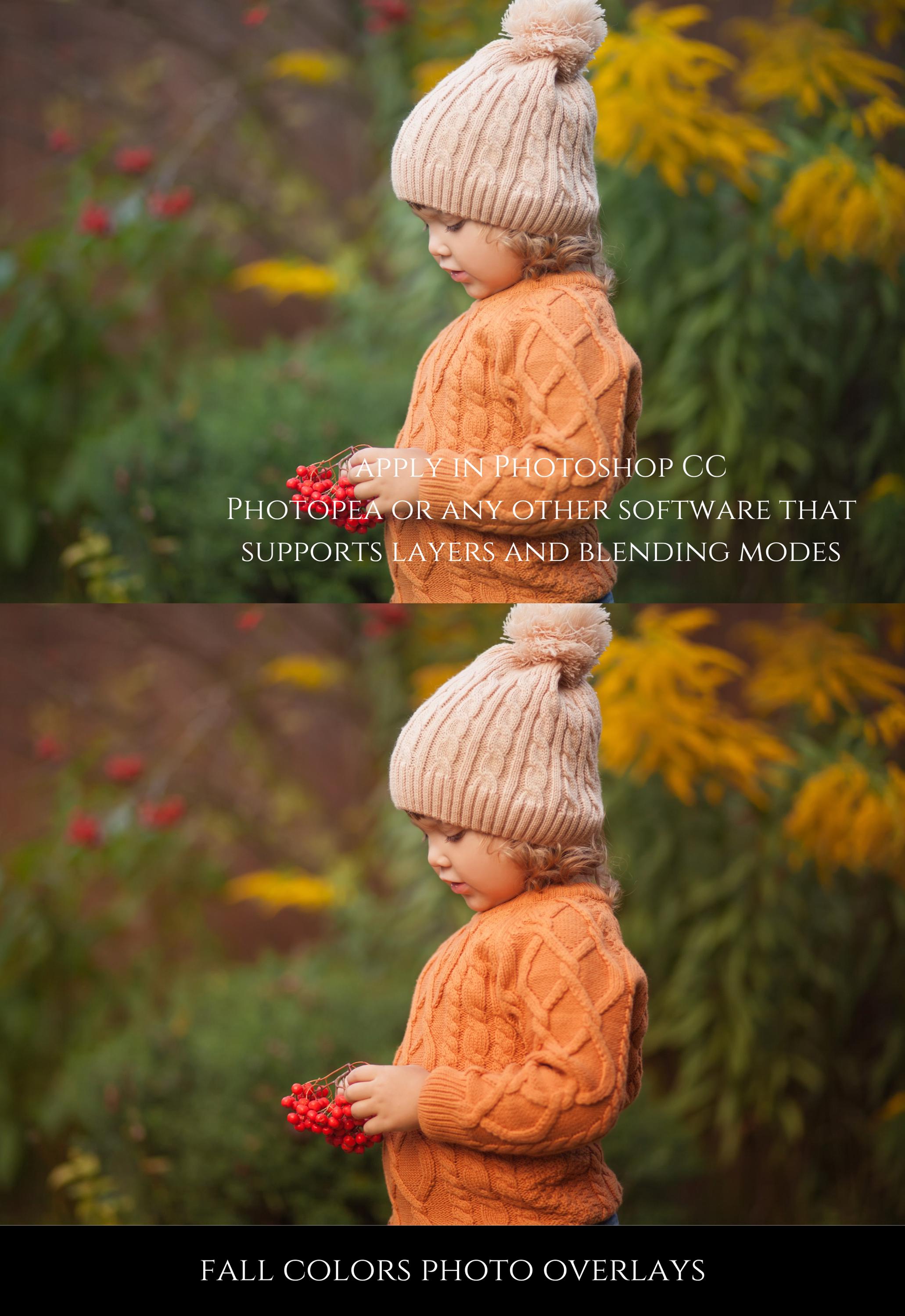 60 Fall Colors Photo Overlays: Warm Light, Pastel Photoshop Filters ...