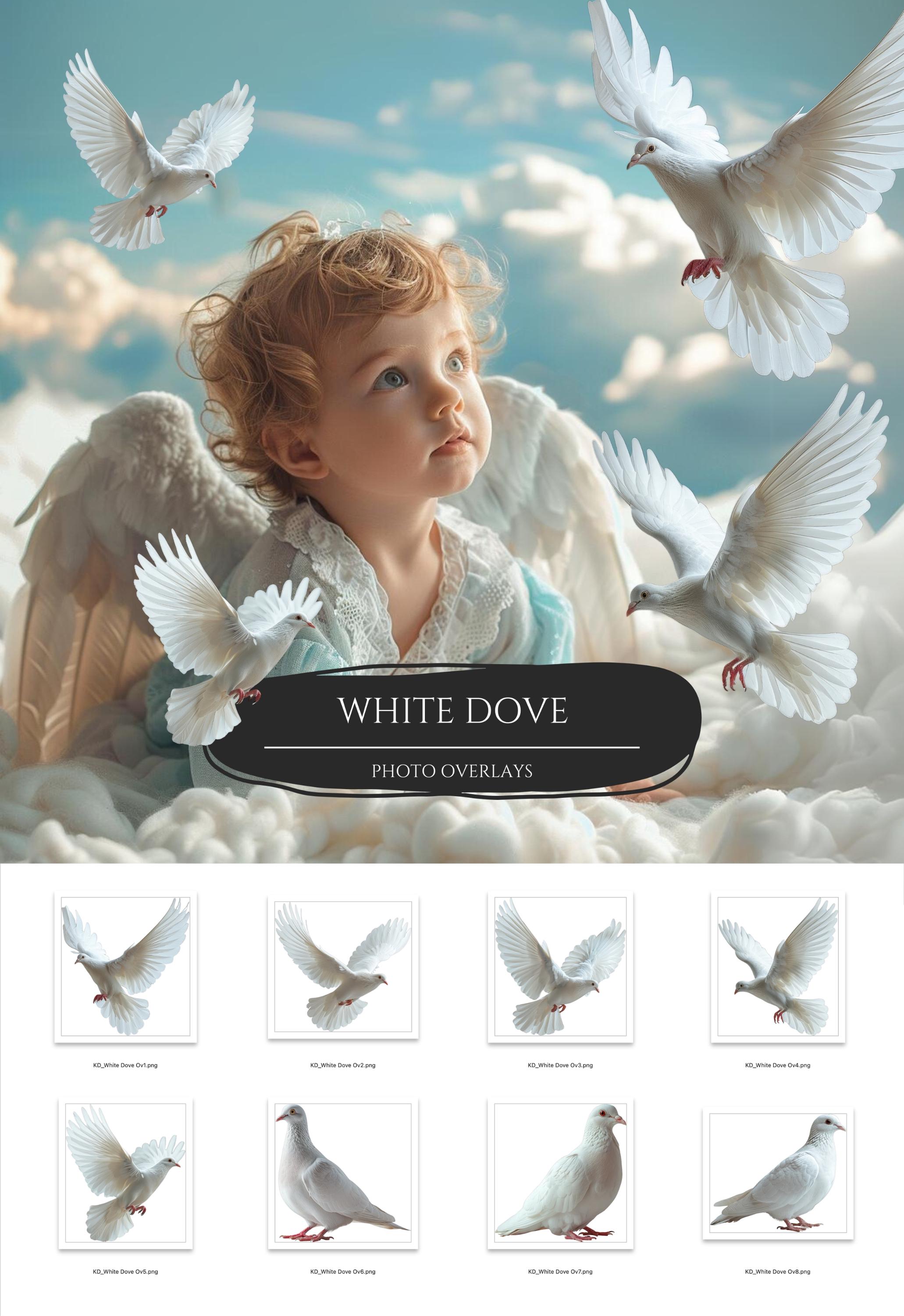 White Dove Photoshop PNG Overlays Wedding Doves Overlay Peace Birds ...