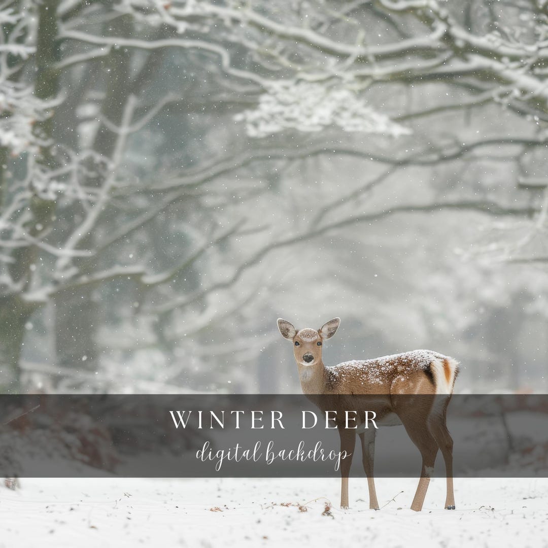 Weißer Winter-Hirsch-Weihnachts-Weihnachts-Digital-Hintergrund für ...