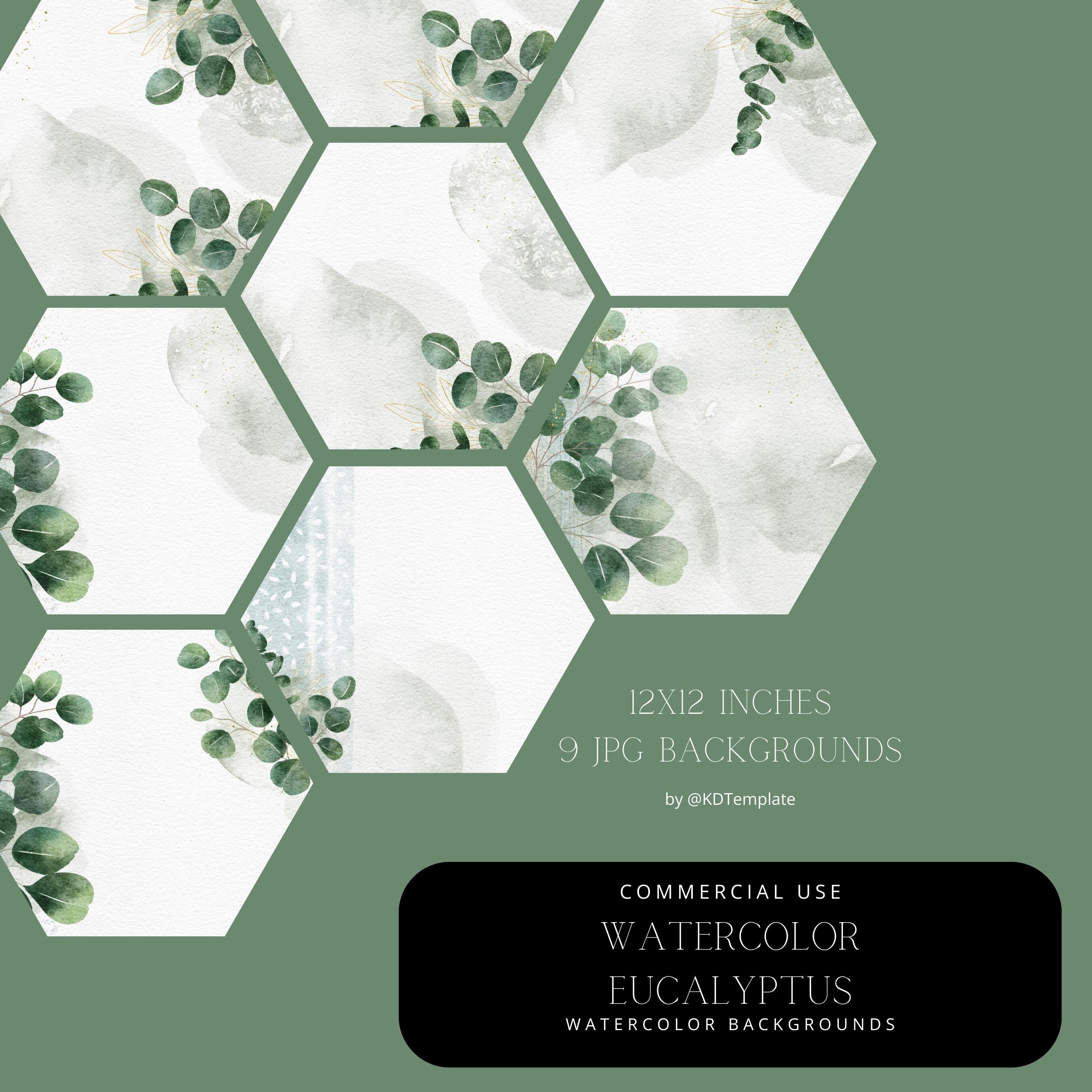 9 Watercolor Eucalyptus Digital Papers Watercolor - Etsy