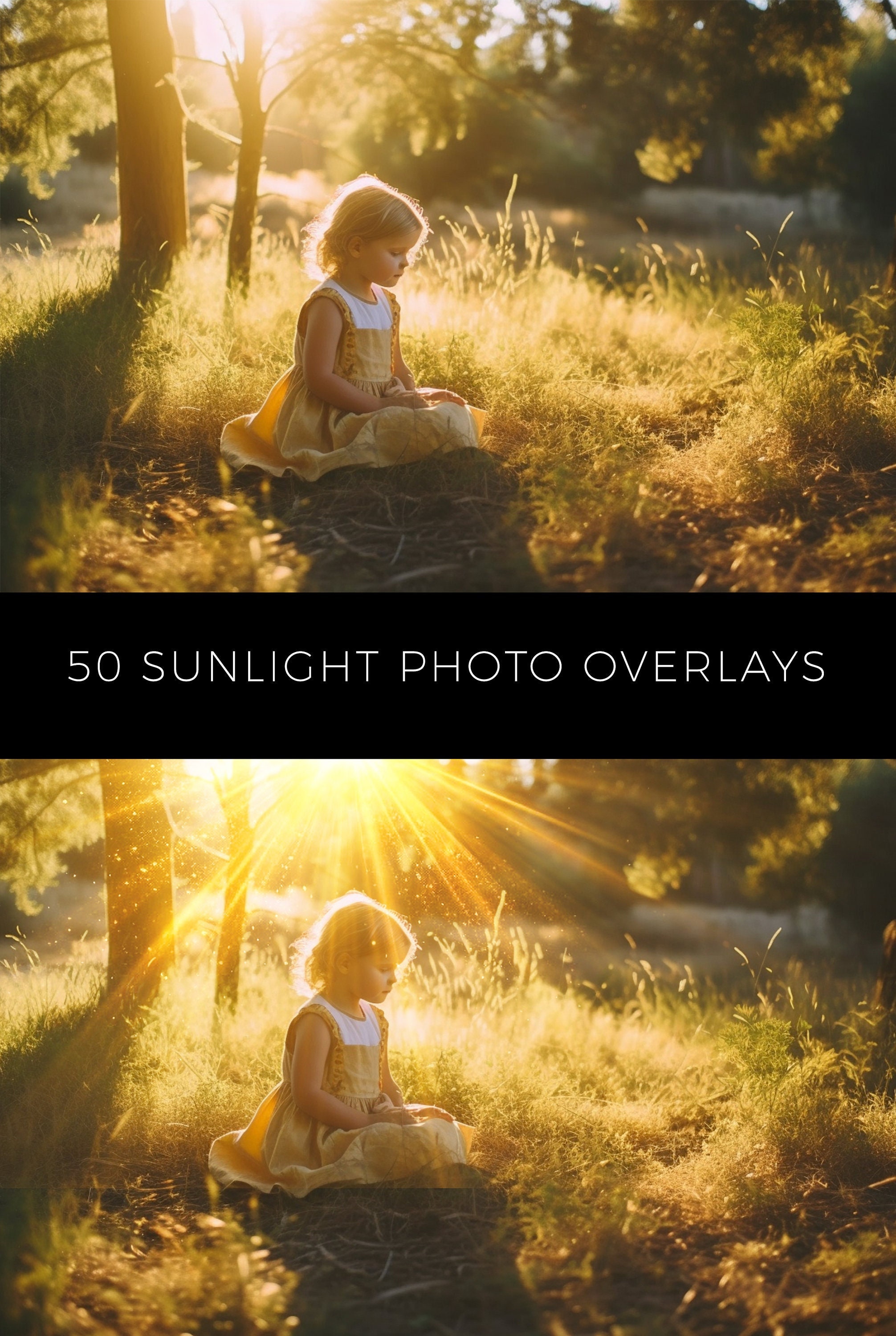 Sunlight Photo Overlays, Sunset Lights, Summer Overlays, Sunbeam ...