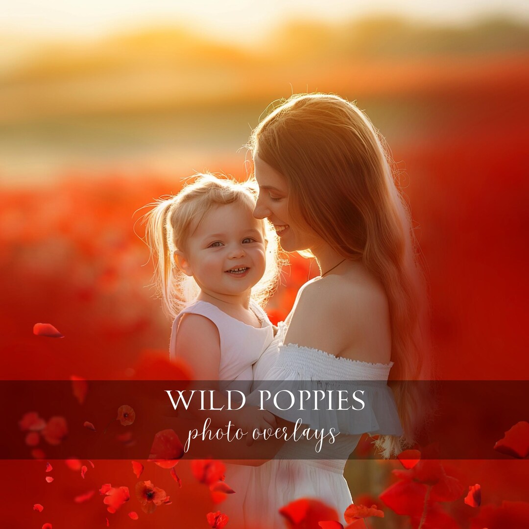 Red Poppy Photoshop Overlays: Summer Flower PNG, Maternity Backdrop ...