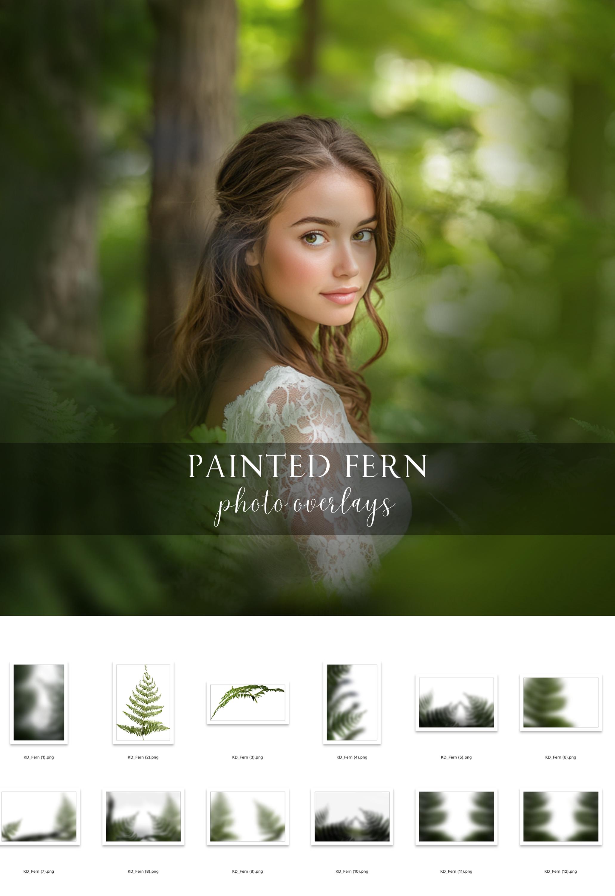 Painted Fern Photoshop Photo Overlays for Composite Photography, Fine ...