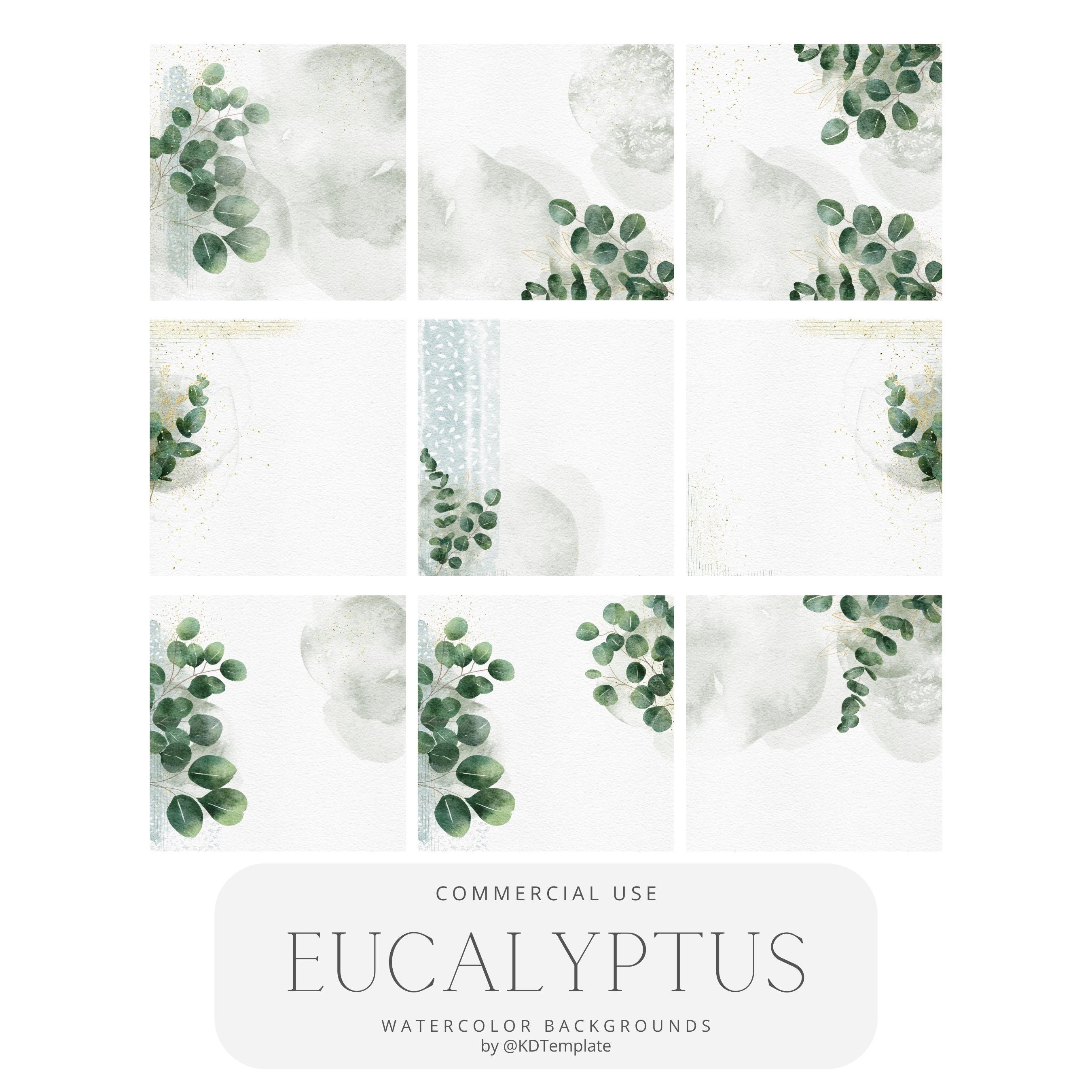 9 Watercolor Eucalyptus Digital Papers Watercolor - Etsy