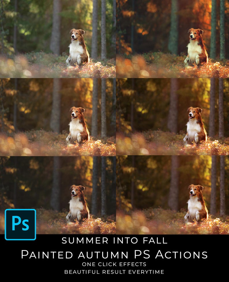 Painted Autumn Photoshop Actions Warm Photo Effect Photo Retouching ...
