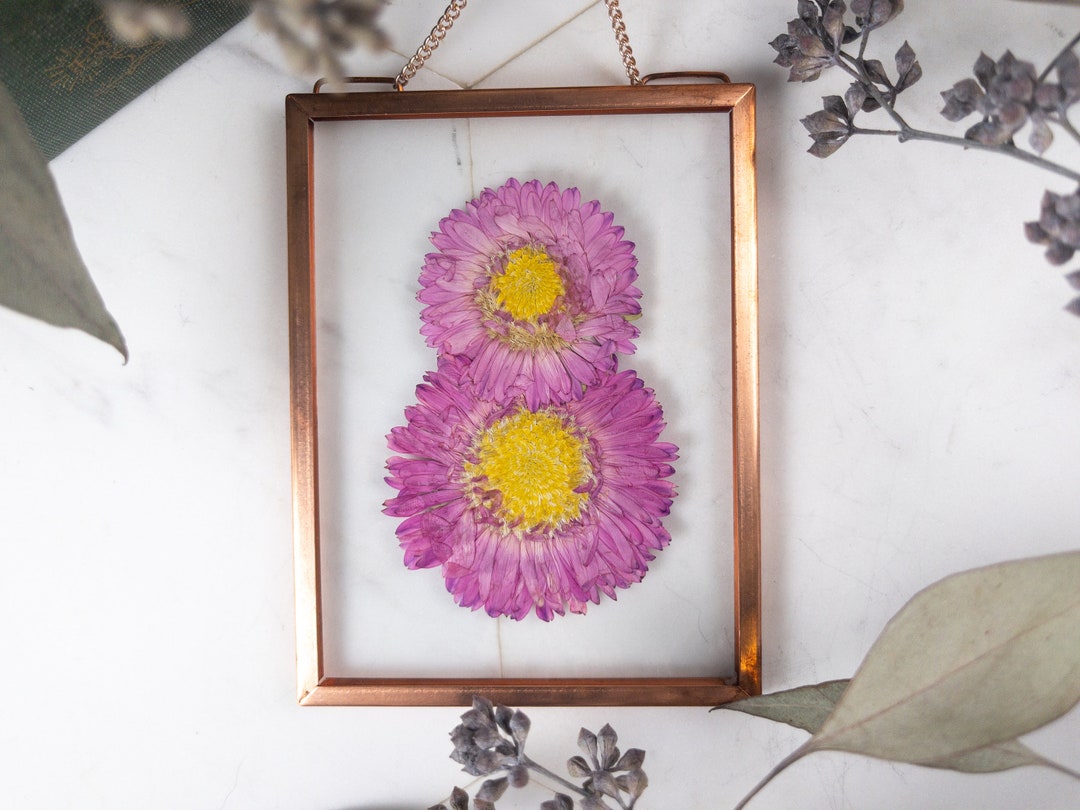 Pressed Real Flower Frame, Framed Pressed Flowers, Real Plant Wall ...