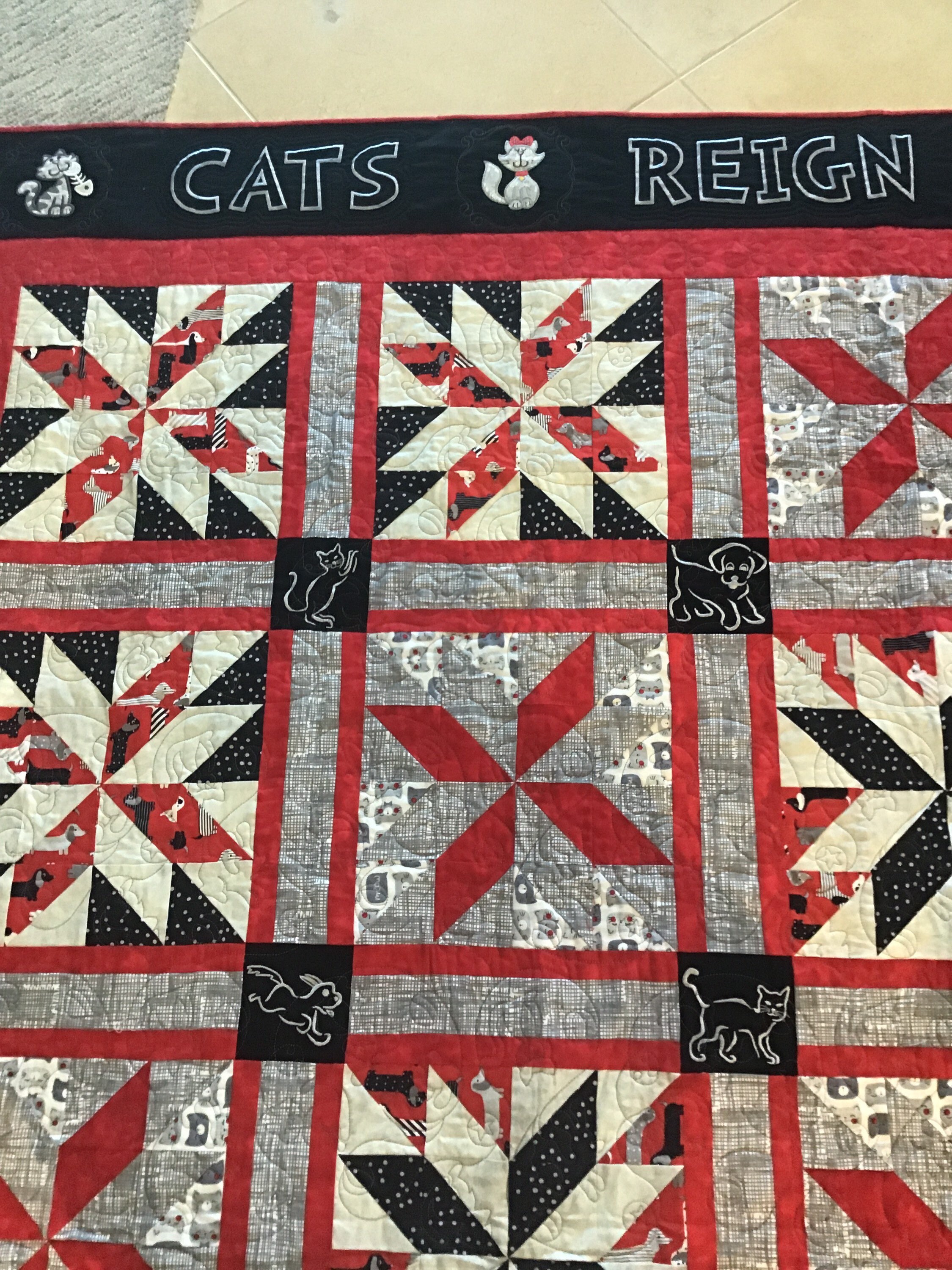 Cats Reign, Dogs Rule - Etsy