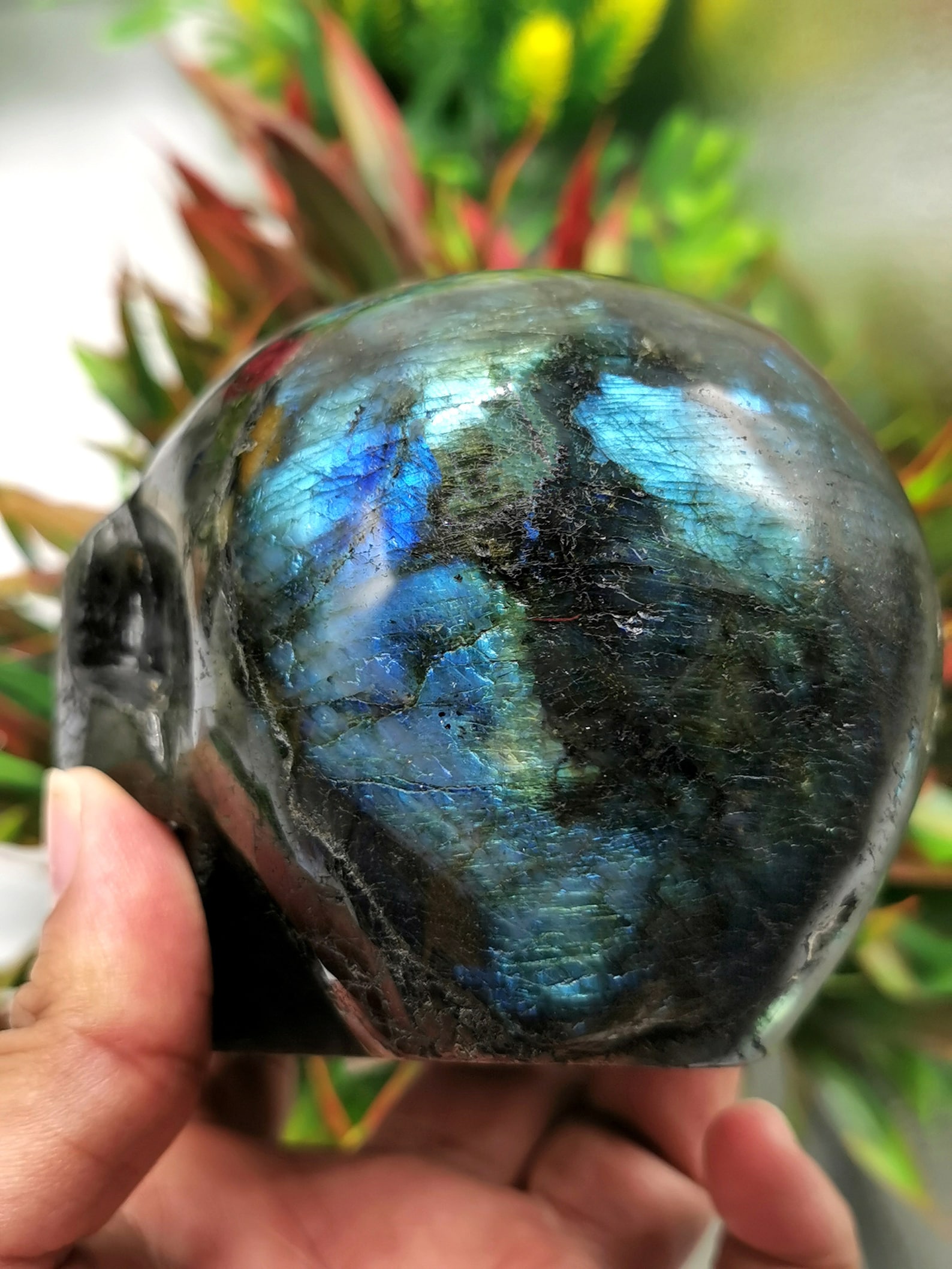 Awesome hand carved natural labradorite skull with blue flash | Etsy