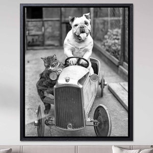Funny Wall Art Bulldog Driving Pedal Car Photo Dog Lover Gift Cat Lover ...