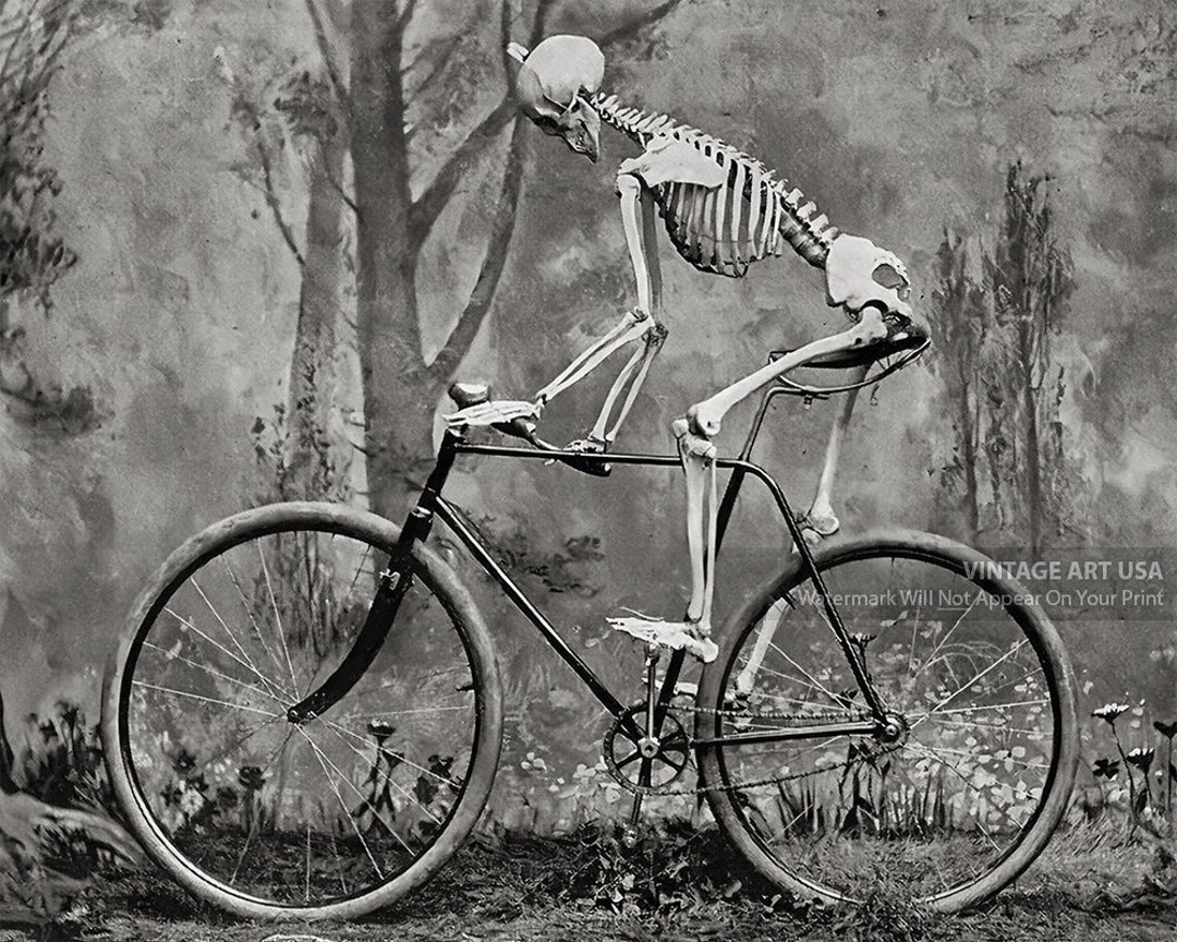 Skeleton Riding Bicycle 1890s Photo - Gothic Art Halloween Occult ...