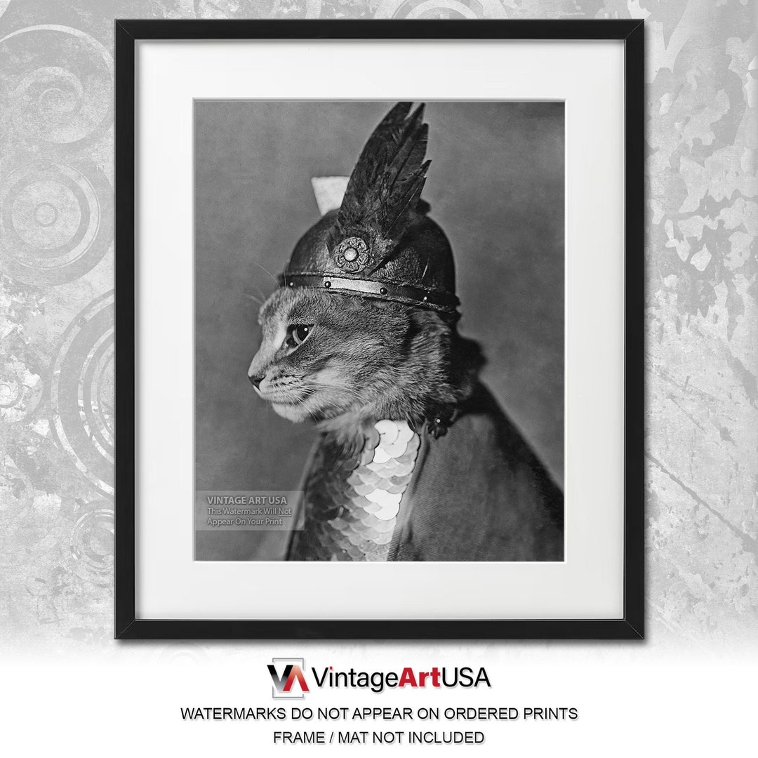 Brunnhilde the Cat Photo Print Vintage 1936 Cat Wearing Winged Helmet ...