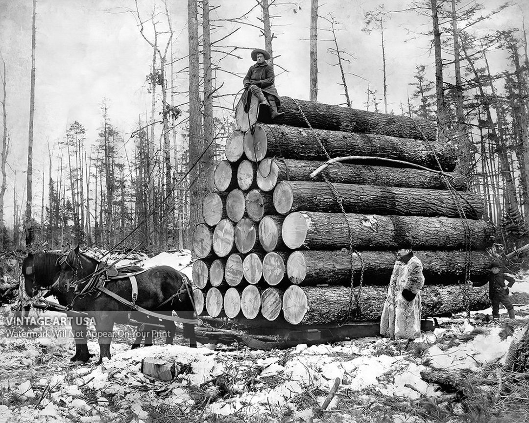 Lumberjack & Horse Logging Print – Early 1900s Vintage Wall Art - Etsy