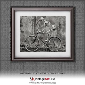 Skeleton Riding Bicycle 1890s Photo - Gothic Art Halloween Occult ...