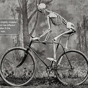 Skeleton Riding Bicycle 1890s Photo - Gothic Art Halloween Occult ...