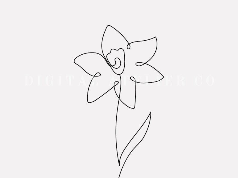 Birth Flower December Narcissus One Line Drawing Home - Etsy