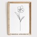 Birth Flower February Violet Line Drawing Flower Home Line Art ...