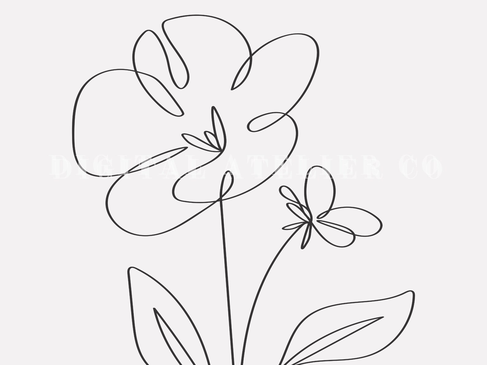 Birth Flower February Violet Line Drawing Home Printable - Etsy