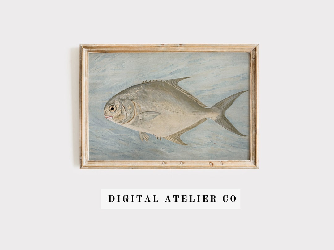 Vintage Fish Print Fishing Painting Fish Art Wall Decor Antique Nature ...