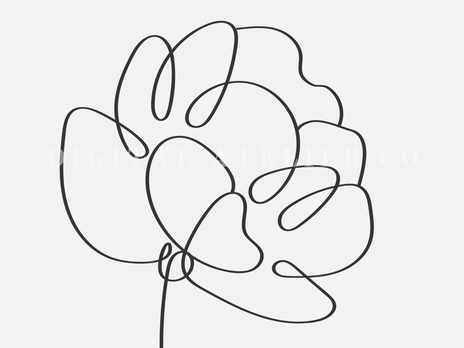 January Birth Flower Carnation Line Drawing Home Decor Print Flower ...