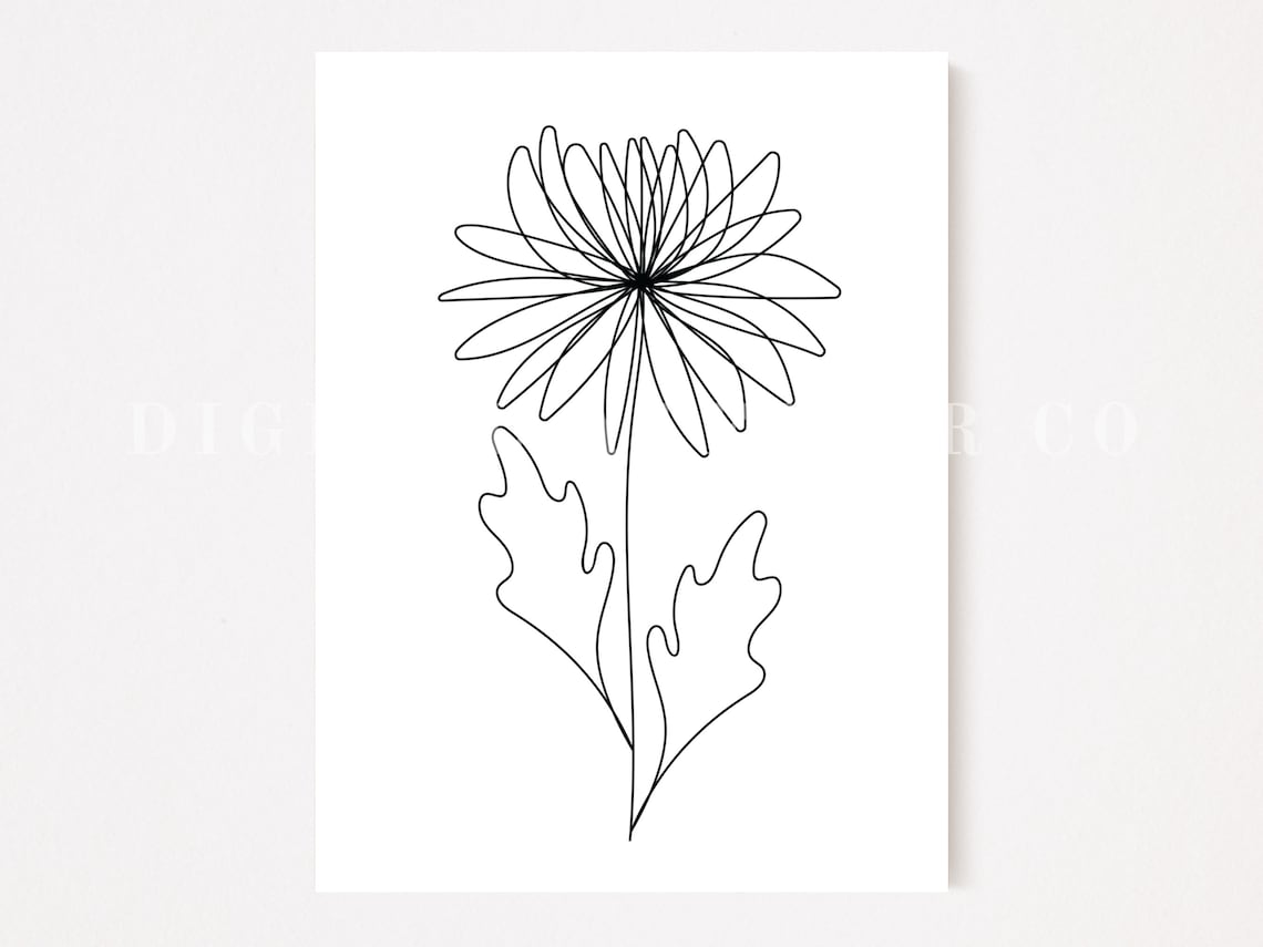Birth Flower November Chrysanthemum Line Drawing Flowers - Etsy