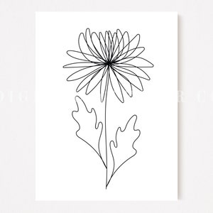 Birth Flower November Chrysanthemum Line Drawing Home Printable Flower ...