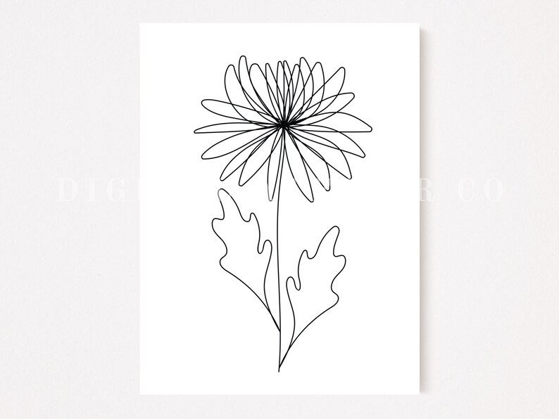 Birth Flower November Chrysanthemum Line Drawing Flowers - Etsy